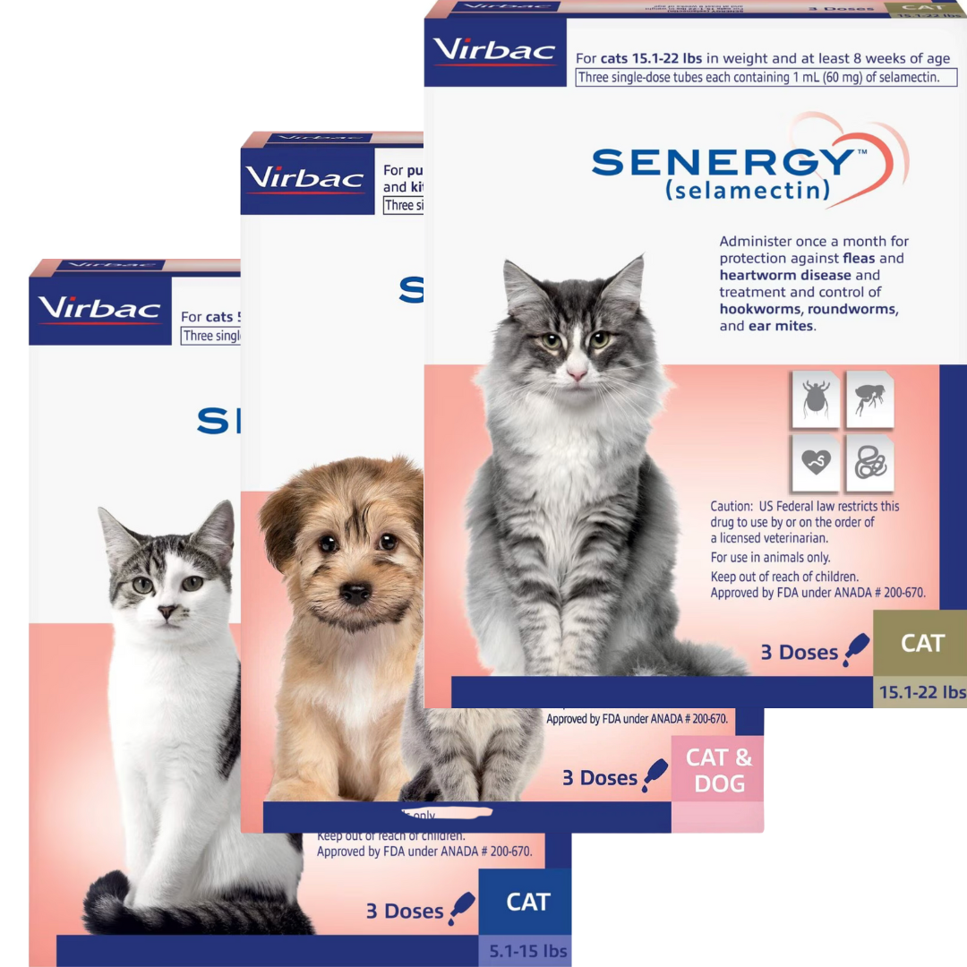 Senergy – Vots Preventives